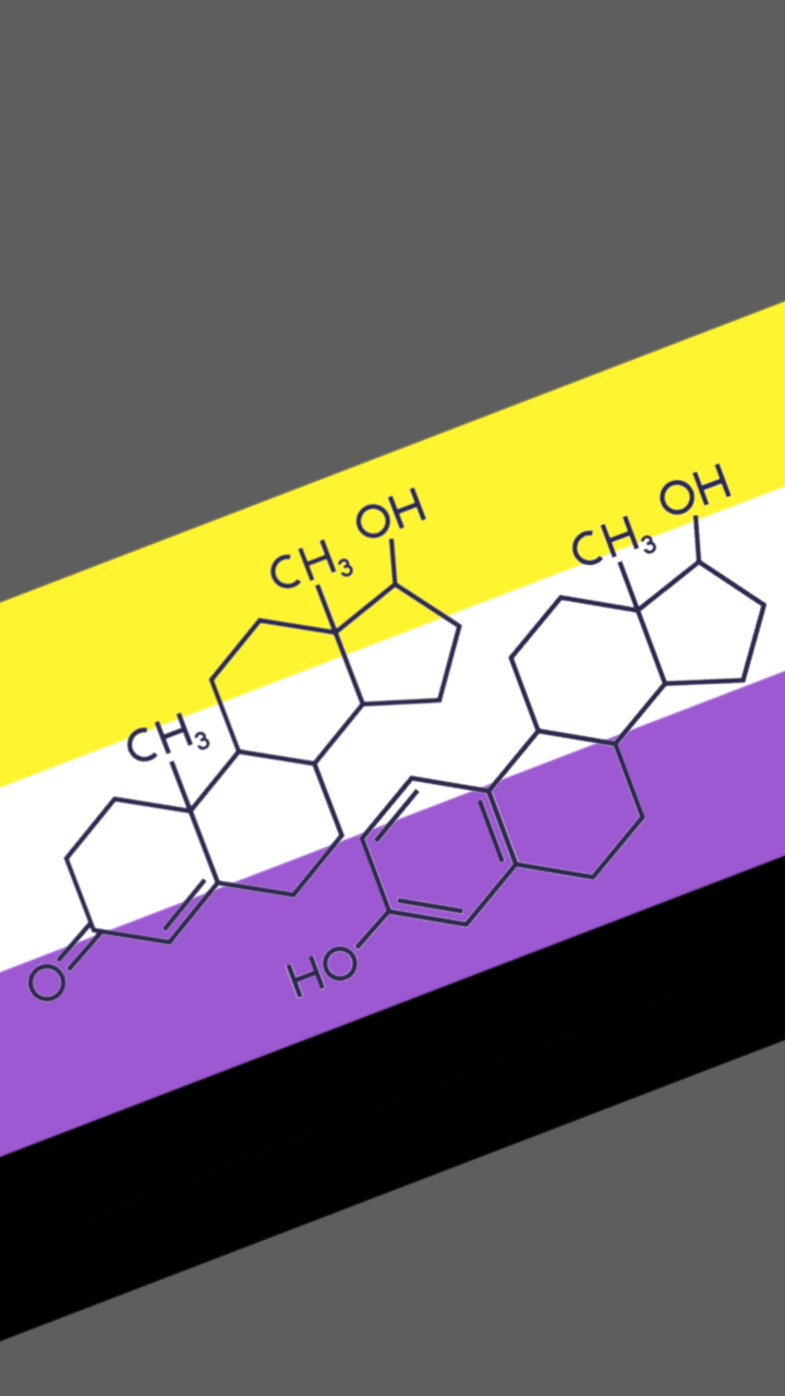 enby-hormone goblin flag_20250410164254-1 – How to be the Good Kind of ...